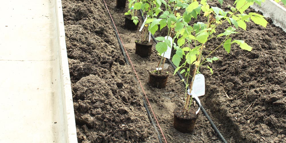 technical specifications - INNARI Innovation Nature Irrigation GmbH